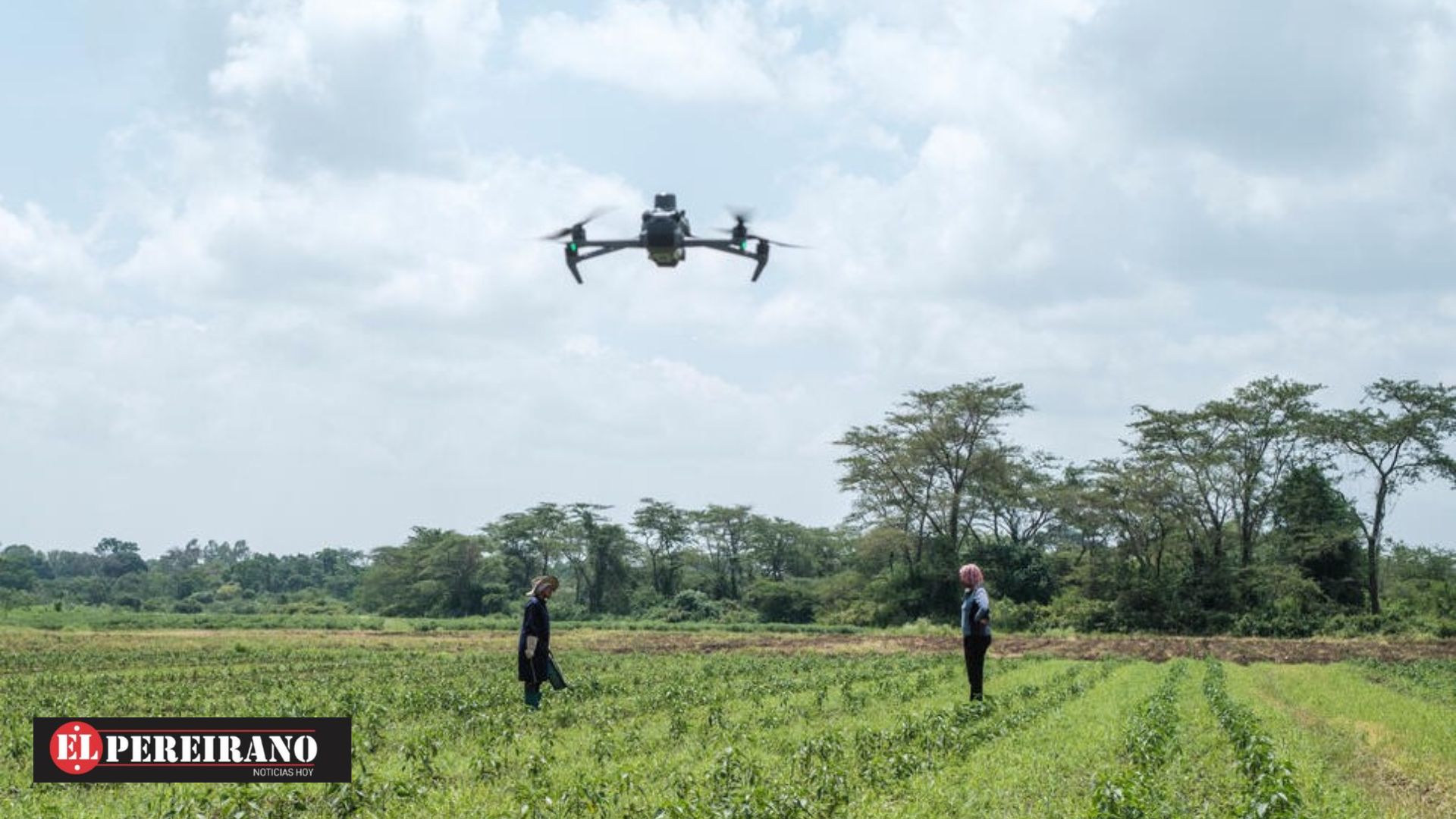 Inteligencia artificial en la agricultura, el futuro agroalimentario ...